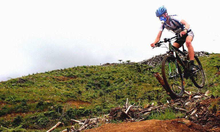 Study sport & exercise - Massey University