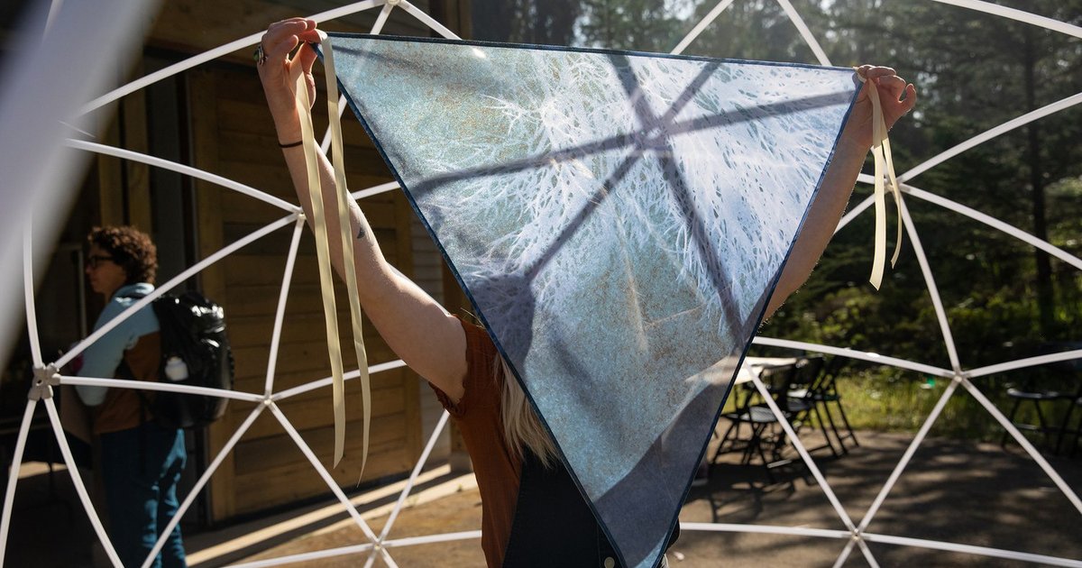 Massey artists feature in collaborative climate art installation ...