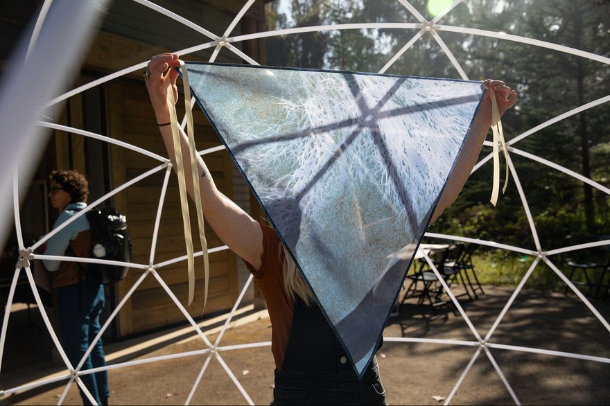 Massey artists feature in collaborative climate art installation