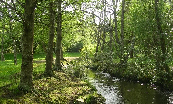 Study natural environment