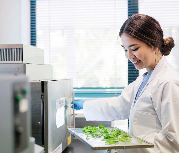 Study food & nutrition - Massey University