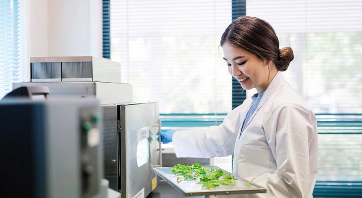 Study food & nutrition - Massey University