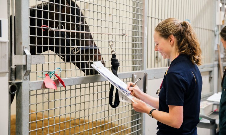 Study veterinary science - Massey University