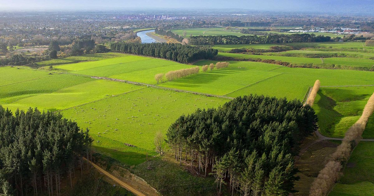 Study agriculture & horticulture - Massey University