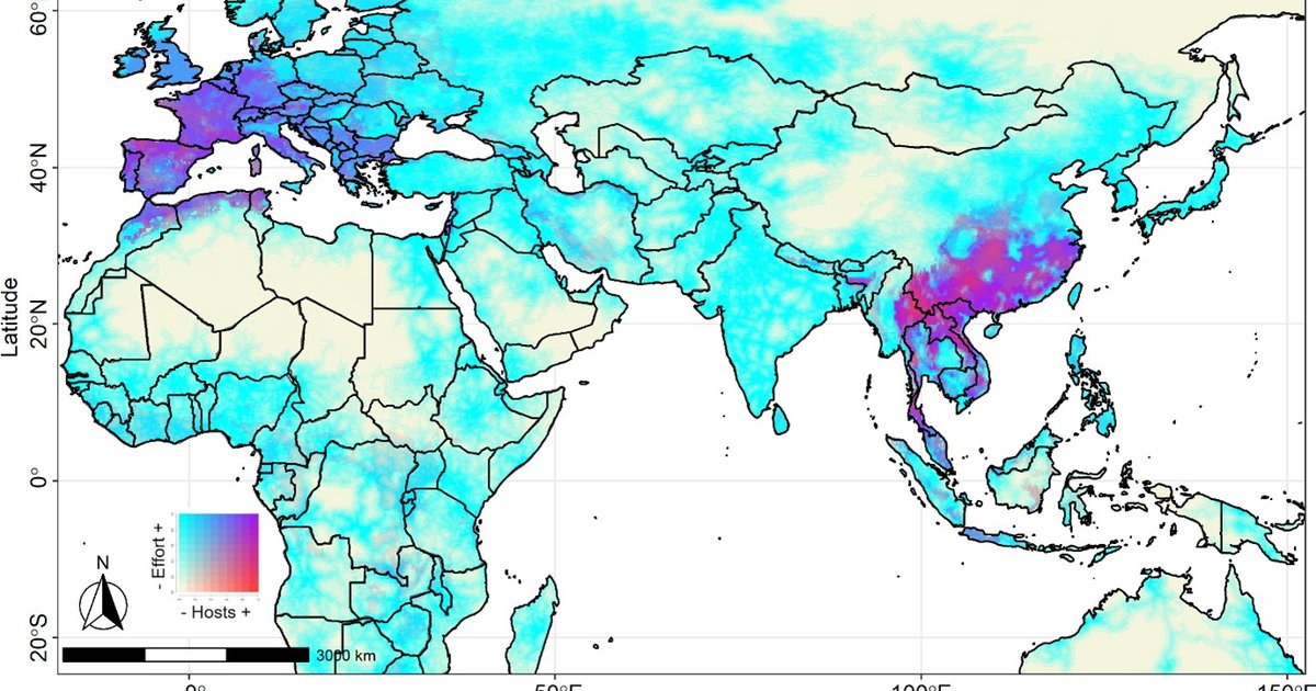 Mapping hotspots for bats may help scientists prepare for future bat-to ...