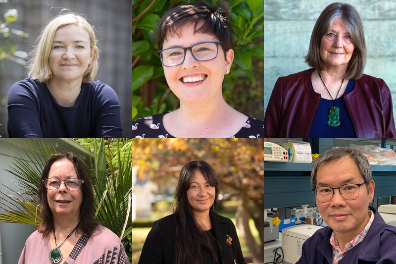 Transgender family support, translating Mātauranga Māori, and viral ...