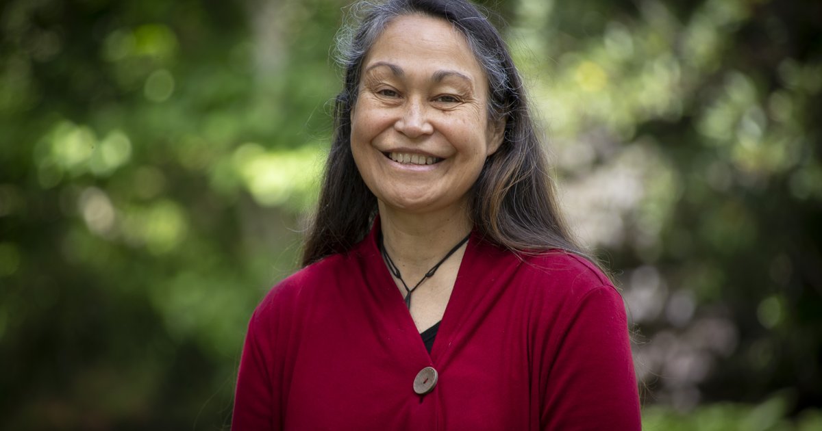 New book addresses how educators can enact Te Tiriti o Waitangi ...