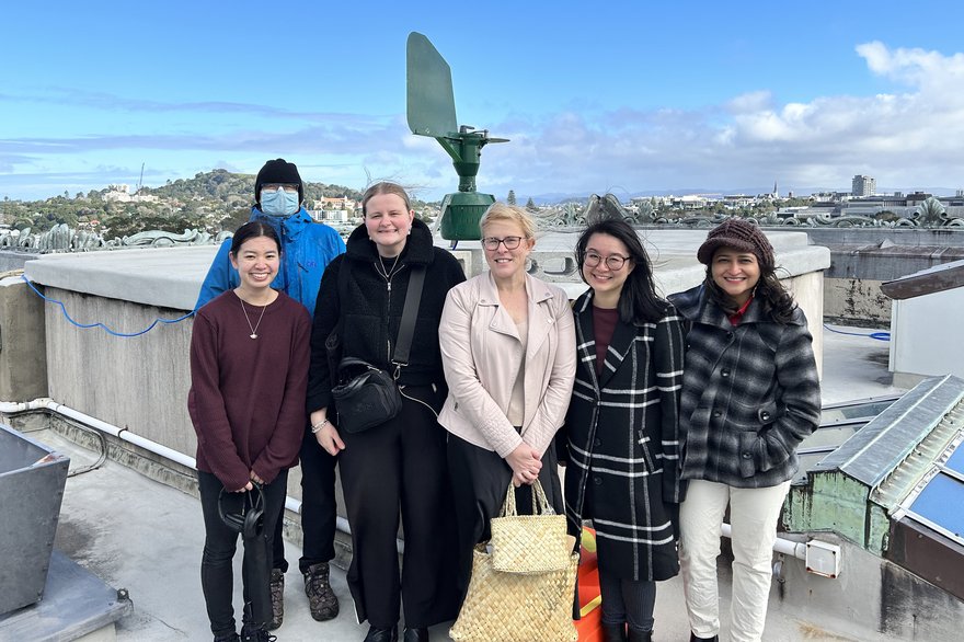 Researchers install pollen trap on roof of Auckland Museum