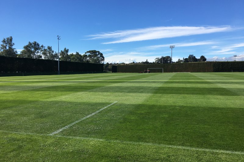 Sport Institute chosen as possible FIFA Women’s World Cup training facility