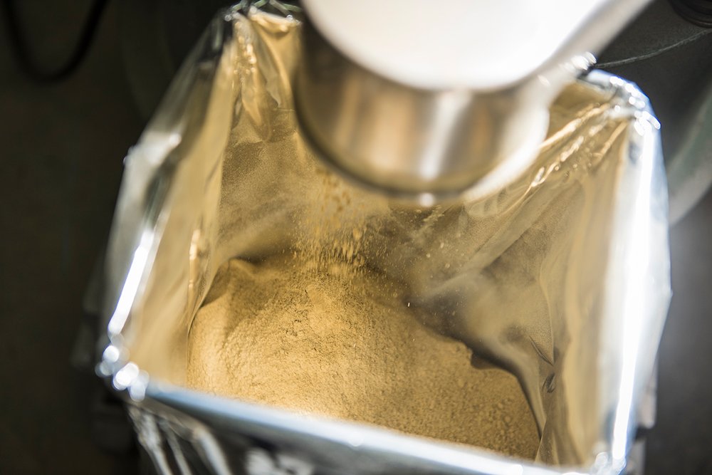 Study shows older women get pain reduction from New Zealand Greenshell ...