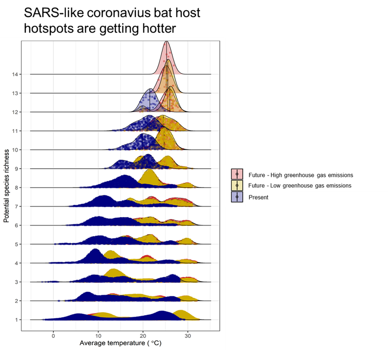 Mapping hotspots for bats may help scientists prepare for future bat-to ...