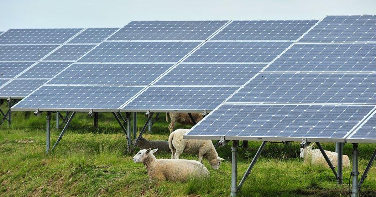 Massey University plans to host one of NZ’s largest solar farms ...