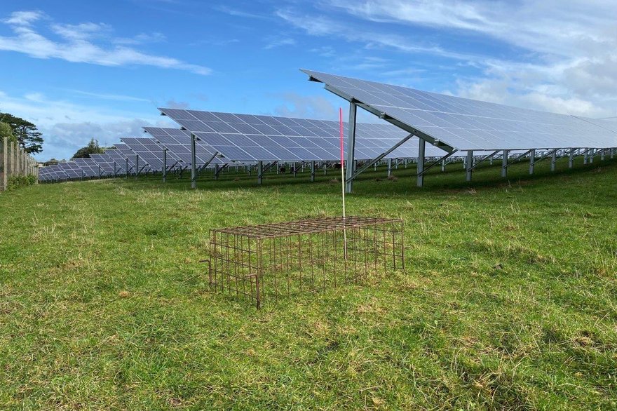 Early research could inform future design of farm-based solar panels