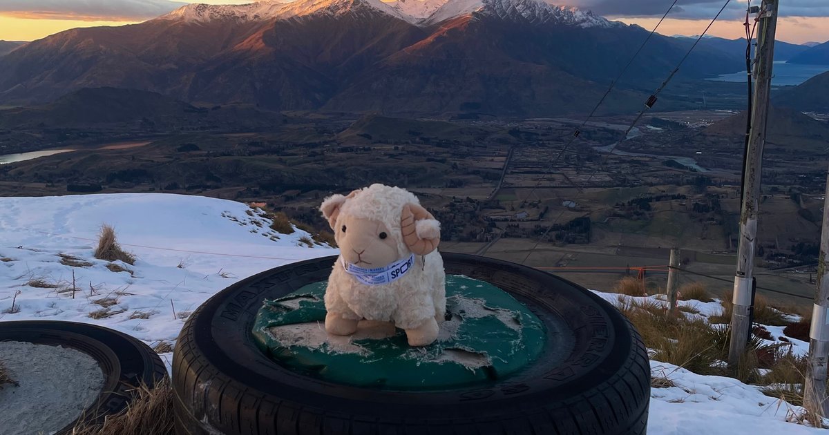 Fergus goes global: A year of adventures from Fergus on Tour - Massey ...