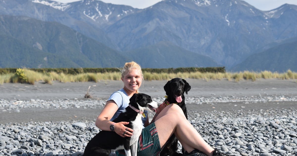 Putting her veterinary calling into action - Massey University