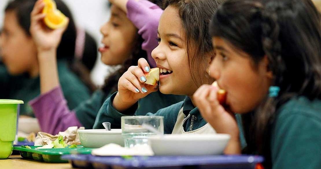Massey offers expert advice on healthy school lunches - Massey University