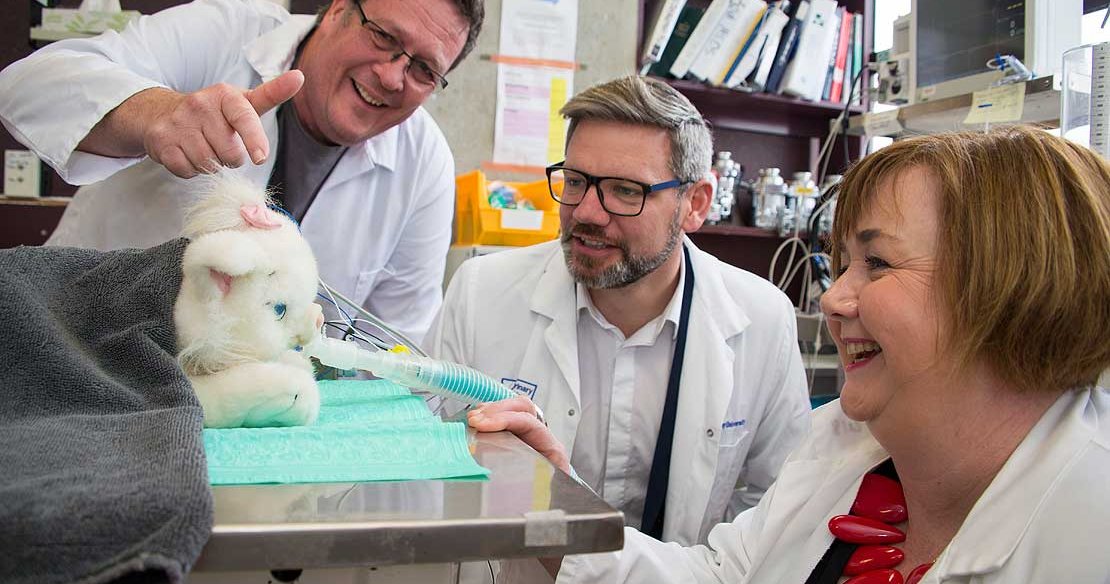 Labour MPs briefed by animal welfare science team - Massey University