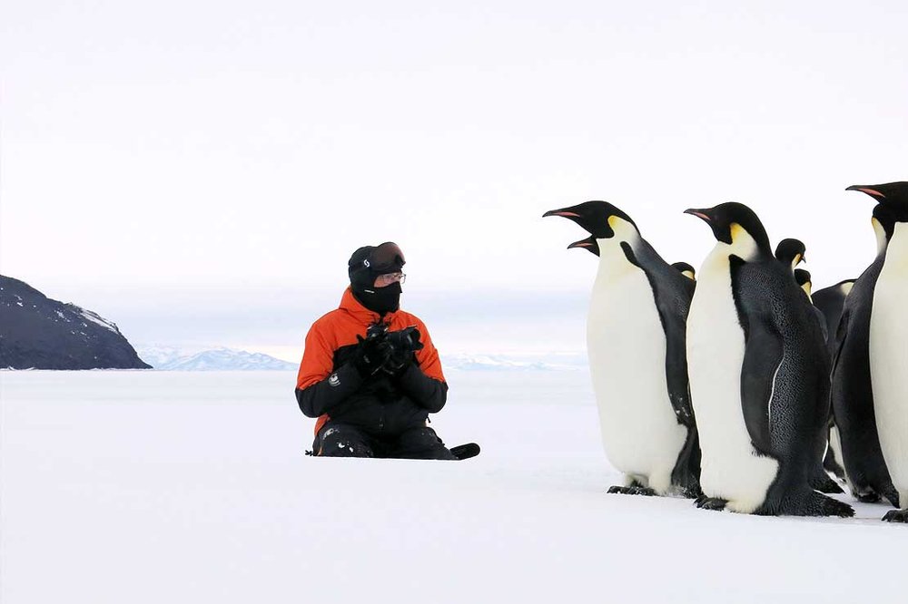 Inspiring new audiences in climate change installation - Massey University
