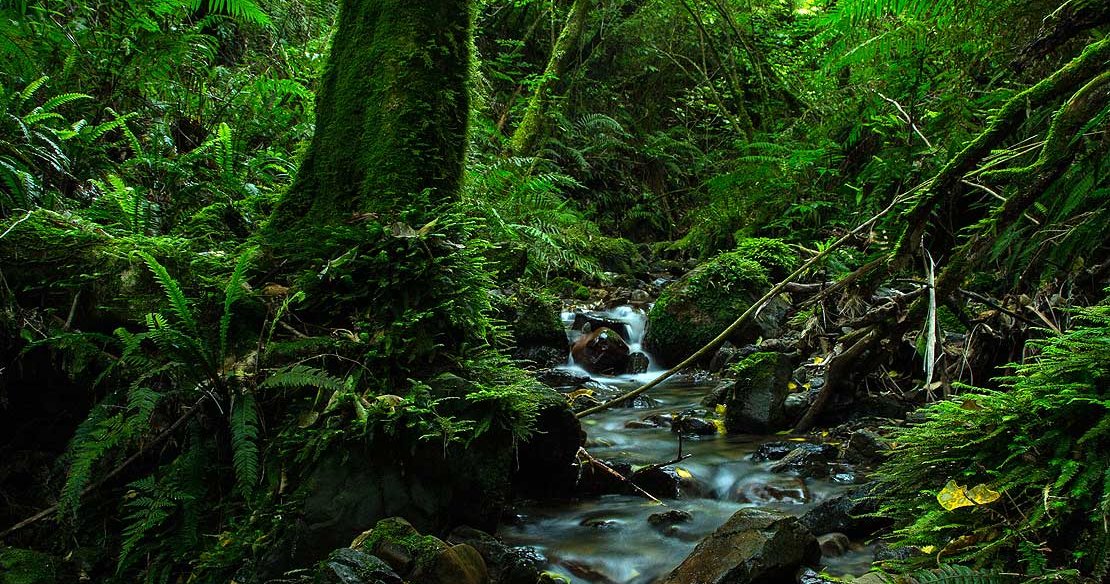 Massey’s creative writing expertise showcased in online publication ...