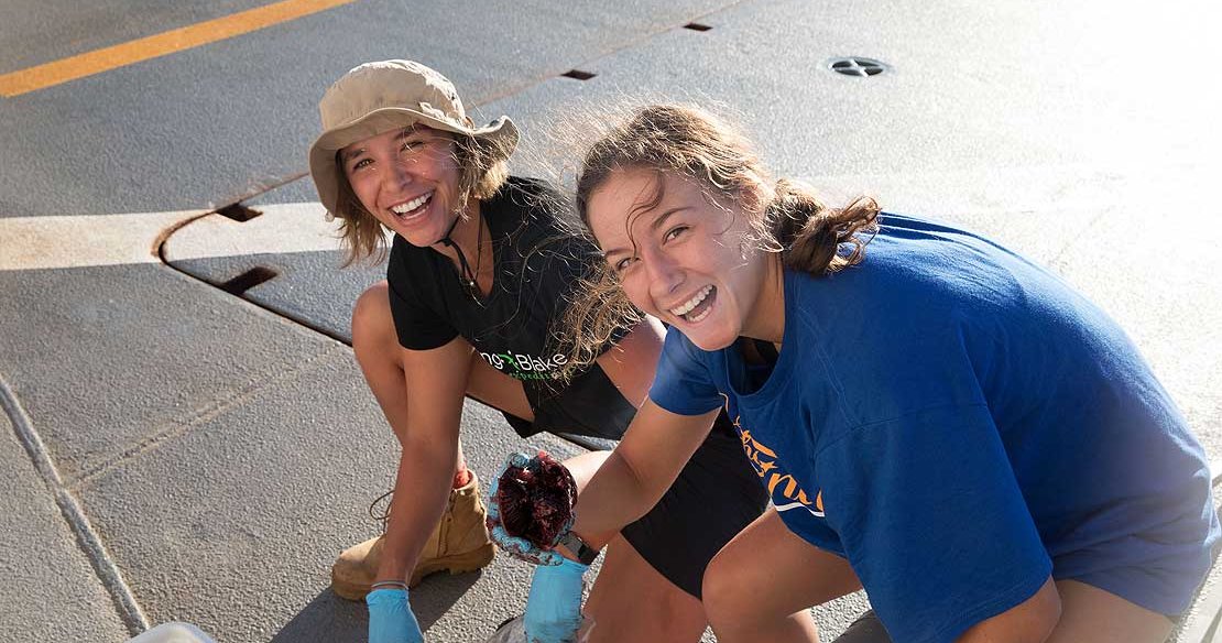 Massey out on the oceans on Seaweek - Massey University