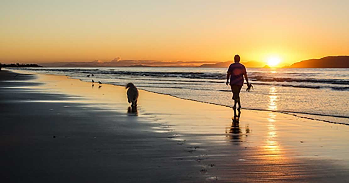 Security, facilities alleviate loneliness – study - Massey University