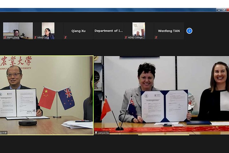 Online success for Massey Week at Huazhong Agricultural University