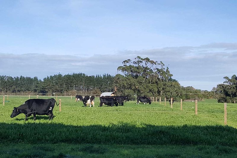 Massey key partner in programme supporting sustainable farming