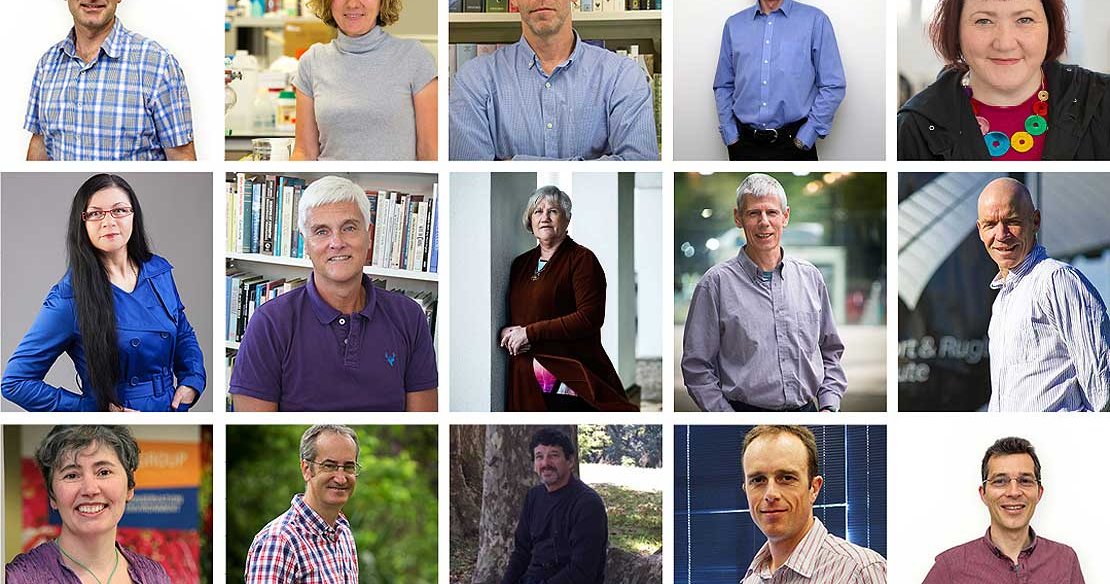 Professorial promotions announced - Massey University