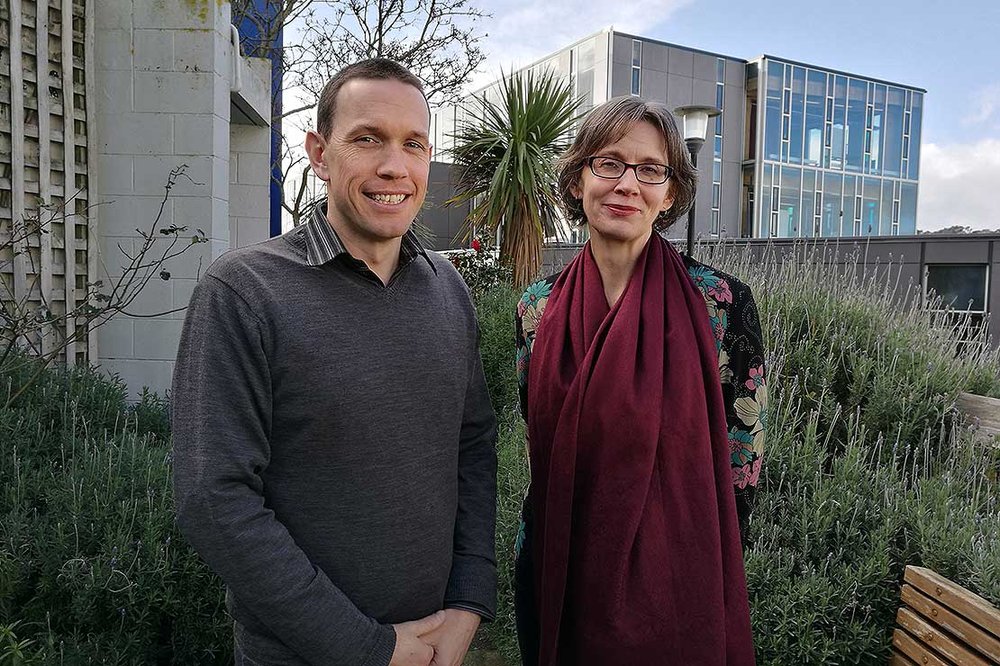 Healthy Families NZ a promising approach